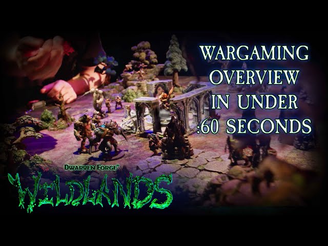 Video Gallery – Dwarven Forge