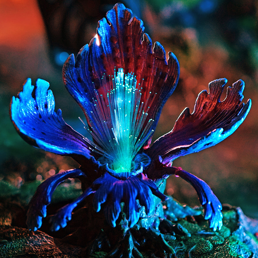 Wildlands Forest – Dwarven Forge